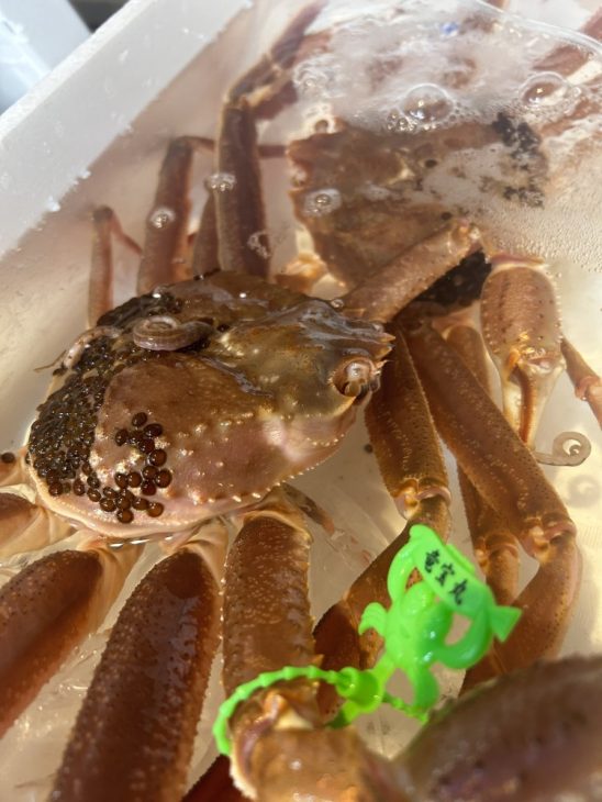 » カニビル？ 閲覧注意｜横浜魚市場卸協同組合 – 横浜食文化の一丁目一番地へ - 横浜魚市場卸協同組合は、横浜中央卸売市場の仲卸が一丸となっ ...